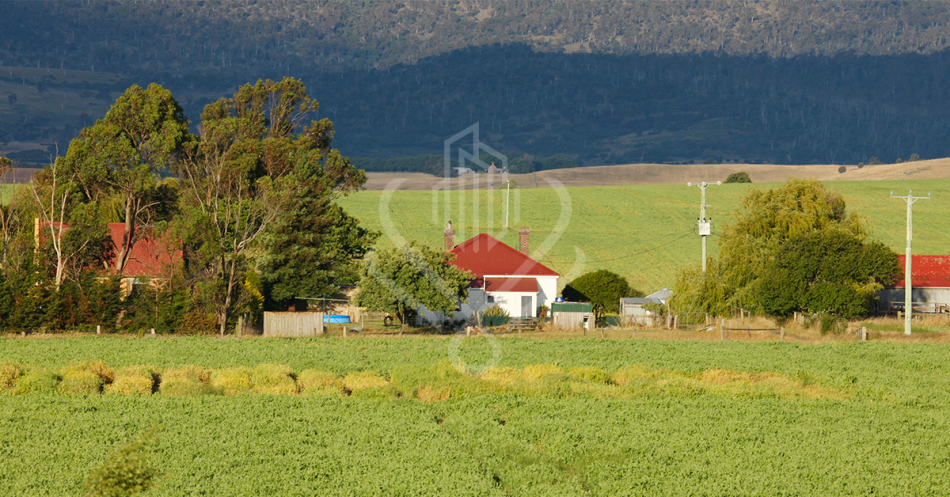 Lakeshore Farmhouse 2025 | Farmhouses in Pakistan
