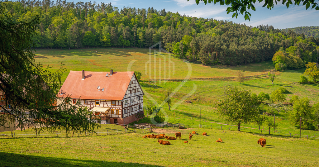 Lakeshore Farmhouse 2025 | Farmhouses in Pakistan