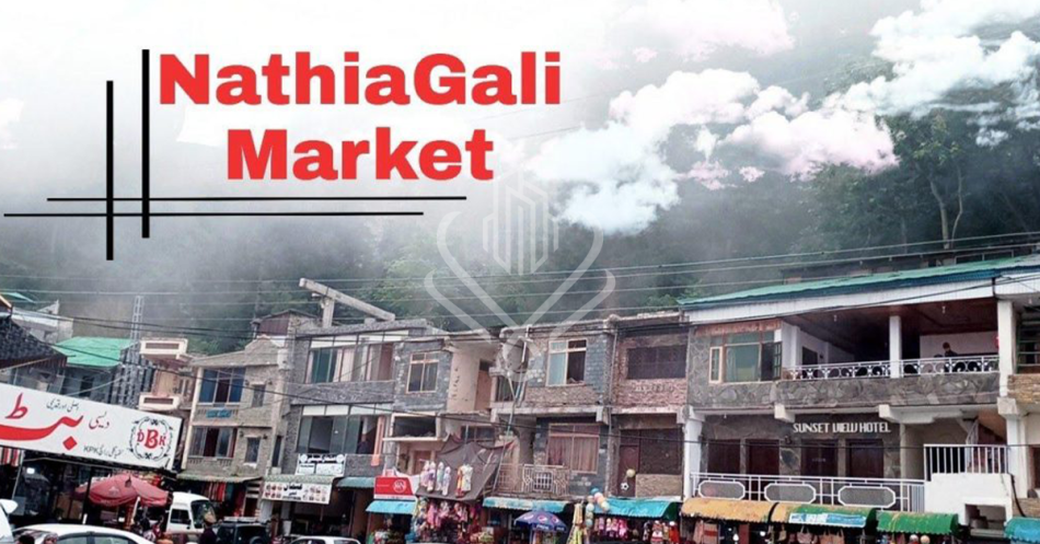 5 Best Things To Do In Nathia Gali